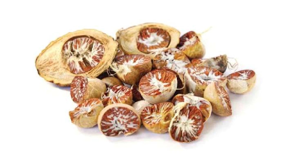 Arecanut today price in karnataka market: know the details december 2nd ...