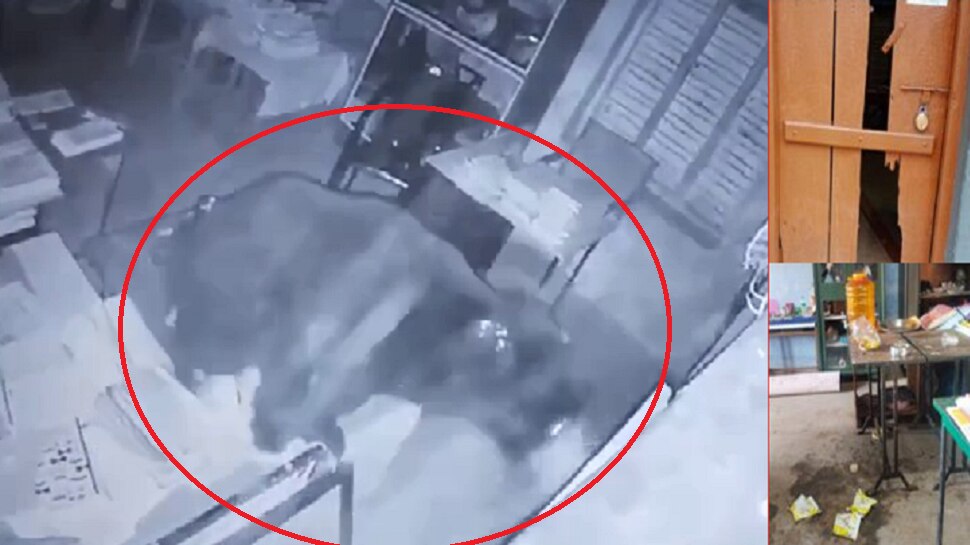 Bear Attack at Sandanapalya School Hanur Taluk Of Chamarajanagar |Viral ...