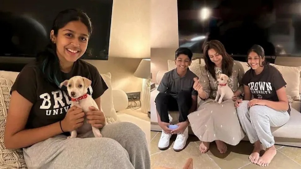Actress Jyothika adopts a stray dog: named after Kobe Bryant ...