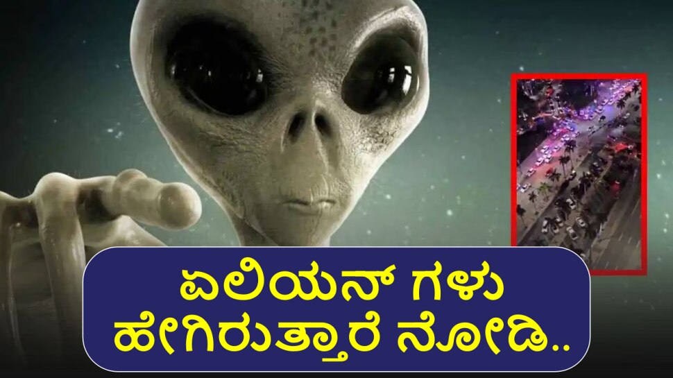 Alien found near American mall | ಅಮೆರಿಕದ ಮಾಲ್‌ ಬಳಿ ಏಲಿಯನ್‌ ಪತ್ತೆ Viral ...