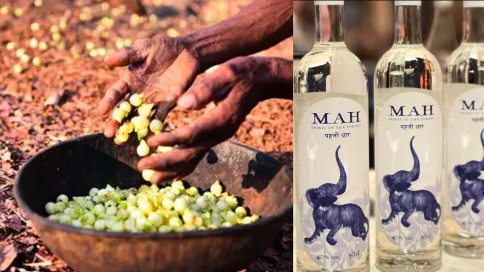 Do you know about traditional mahua of tribal culture..?|ಬುಡಕಟ್ಟು ...