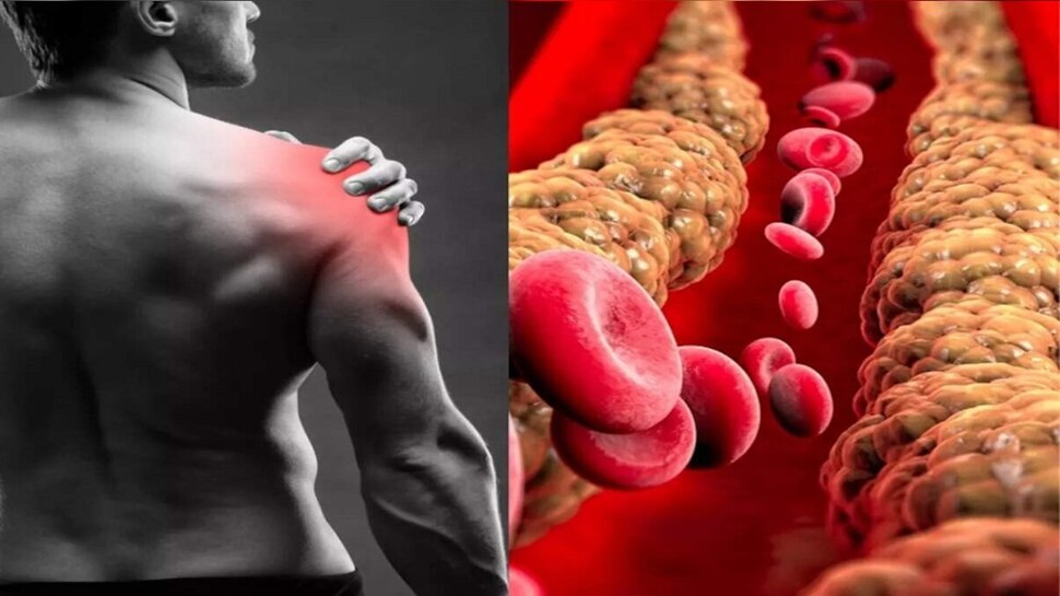 cholesterol control tips cholesterol causes high damage to these body ...