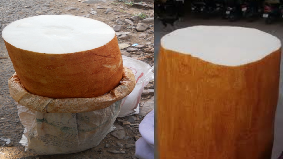Bhoochakra Gadde: Know about the benefits of this Bhoochakra Gadde that ...