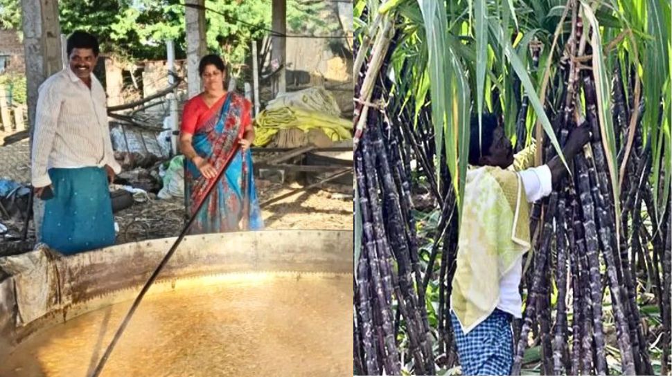 Typical Farming: Low Investment and High Profit..!ideal farmer working ...