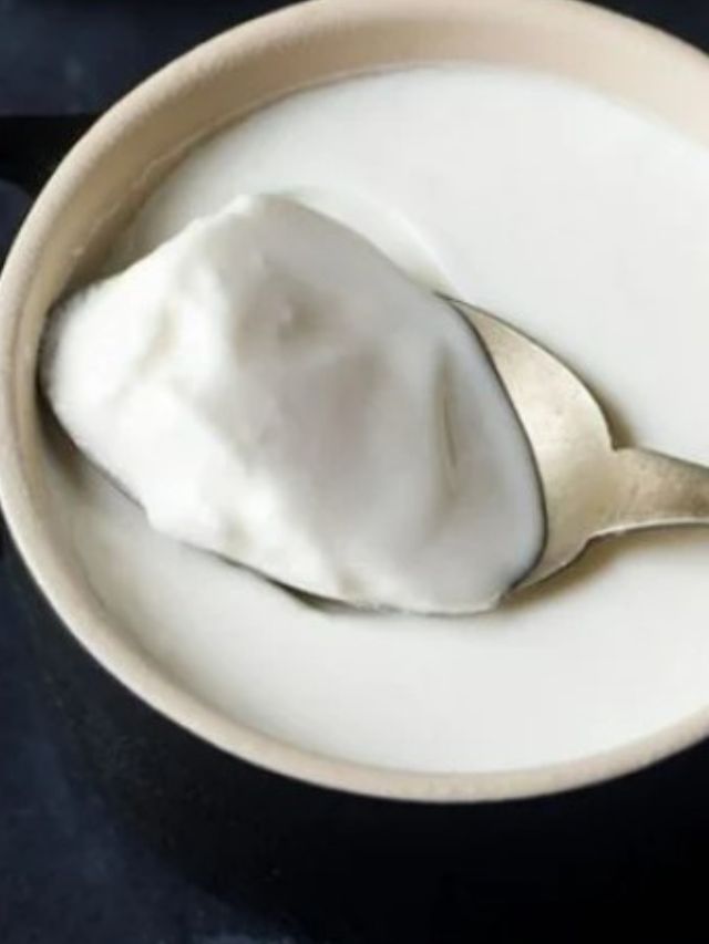 Curd Benefits: Do you know the benefits of eating curd?|ಮೊಸರು ...