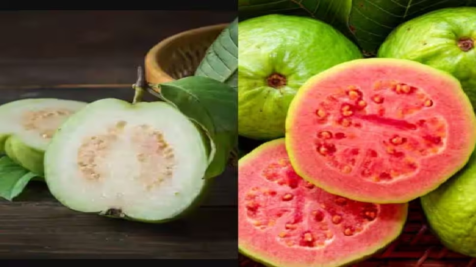 Health Tips: White guava vs pink guava which is best..? | ‌Health Tips ...