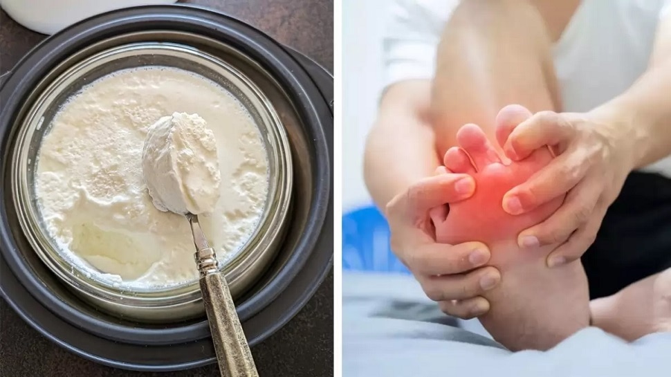 If you mix it with curd and eat it the uric acid stuck in the joints ...