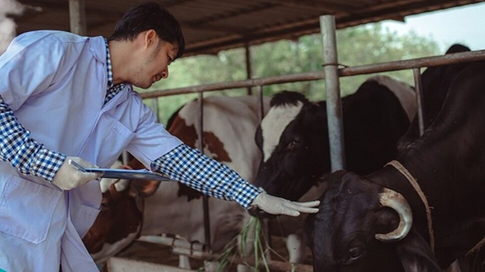 Applications are invited for the recruitment of 400 Veterinary Officer ...
