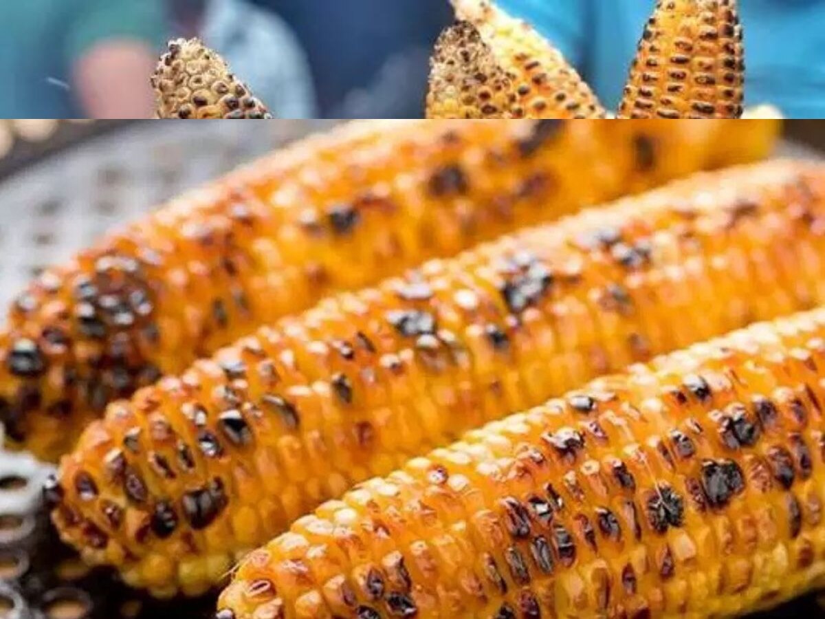 Here are 5 benefits of eating roasted maize during the rainy season ...