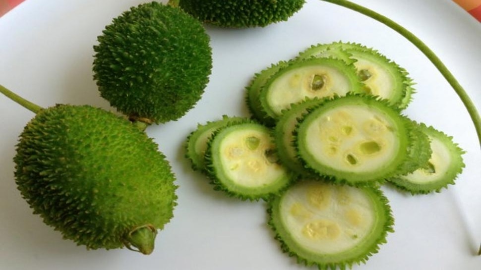 Round Bitter Gourd The Super Vegetable Packed with Nutrients Surpassing ...