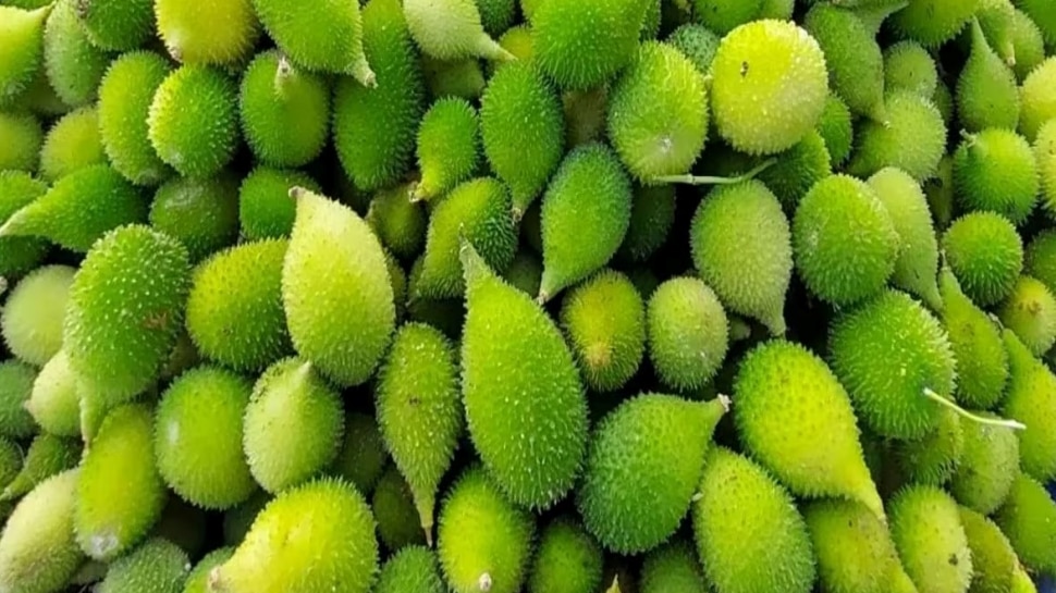 most powerful vegetable in the world kantola health benefits and dishes ...