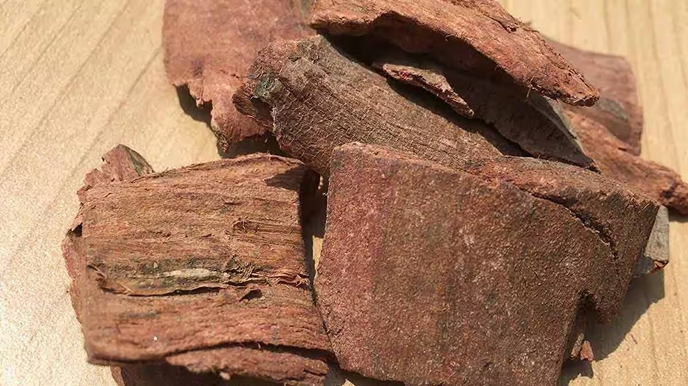 The bark of this tree is a panacea for many diseases..! Do you know how ...