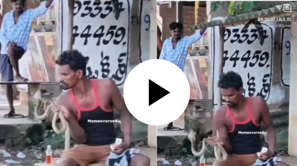 viral video shows drunken man catches snake in hand and starts talking ...