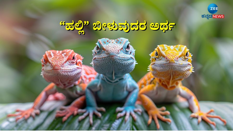 Auspicious inauspicious signs of Lizard Falling | Astro Tips: ದೇಹದ ಯಾವ ...