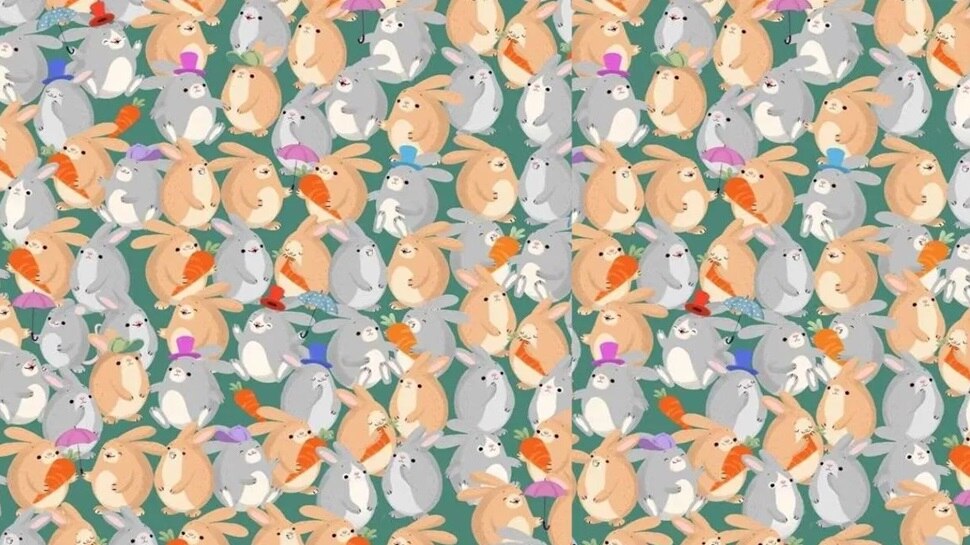 Optical Illusion: Find the mouse hidden in the rabbit herd| Optical ...