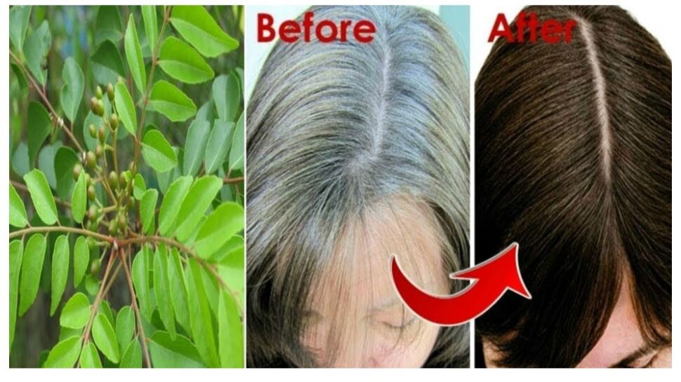 Mehandi mix with this small thing naturally trun gray hair into dark ...