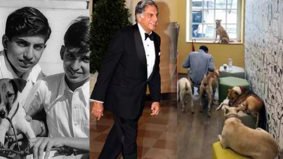 Ratan Tata love on dogs | ರತನ್ ಟಾಟಾ ಅವರ ಶ್ವಾನ ಪ್ರೀತಿ ಎಂತದ್ದು ಗೊತ್ತಾ ...