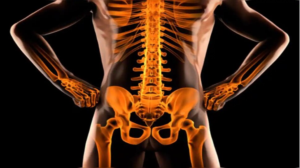 Eat these 5 foods from today to keep your bones strong till 50..! | 50 ...