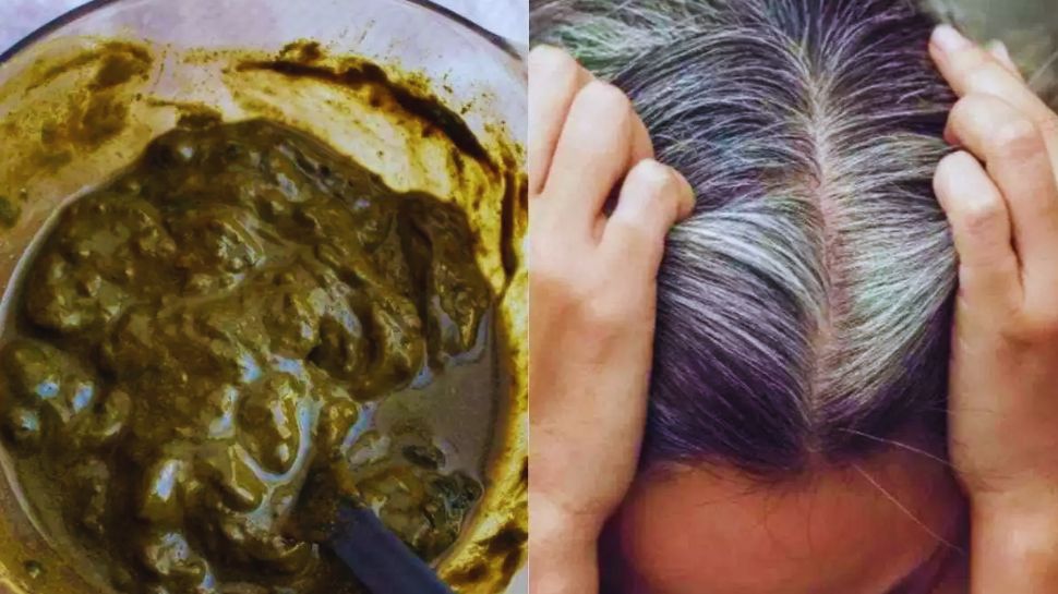 Mehandi mix at home to Gray Hair into dark black | ಮೆಹಂದಿಯನ್ನು ಈ ...