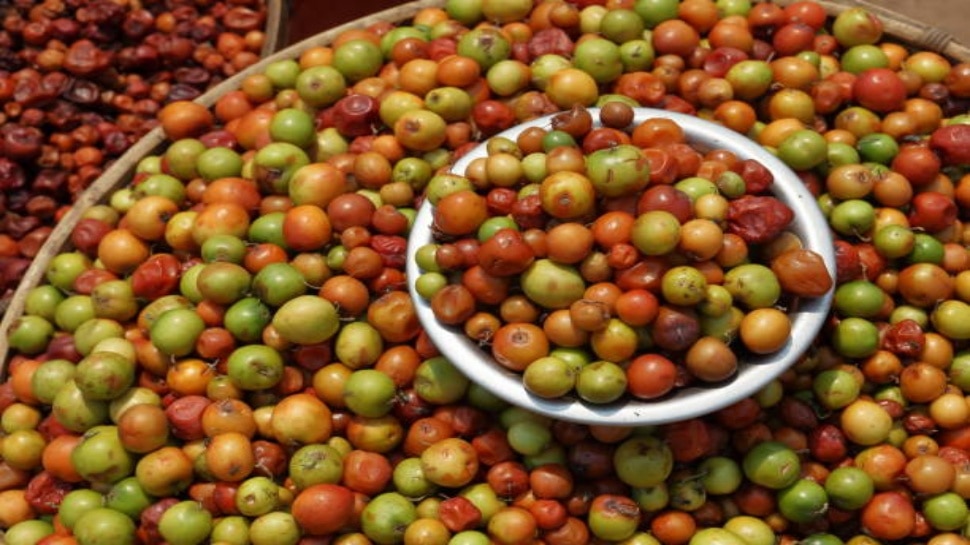 Eating bore fruit prevents deadly cancer | ಮಾರಕ ಕ್ಯಾನ್ಸರ್ ರೋಗ ಬರದಂತೆ ...