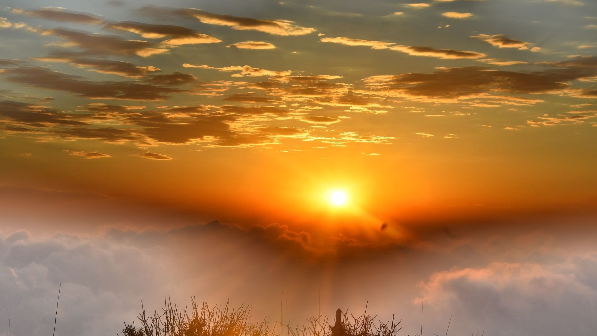 Do you know which country has the sun rising at midnight? 99.9 percent ...