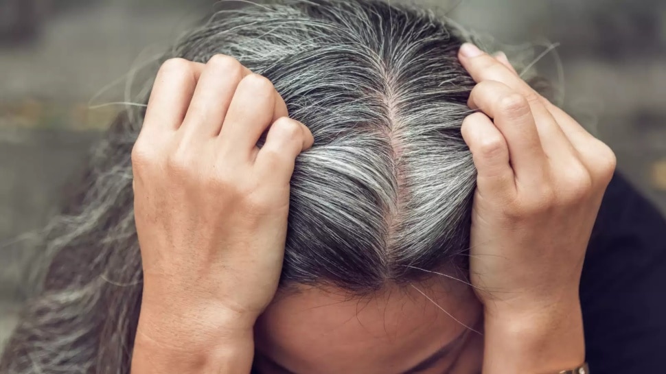 White Hair Tips: Applying Sesame Oil With Henna Powder Helps You turn ...