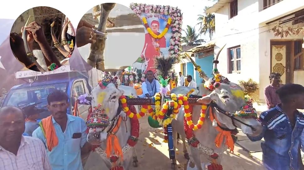 Farmer Bring Gold ornaments worth lakhs for favorite bulls in Dharwad ...