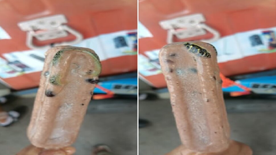 Man finds frozen snake inside popsicle in Thailand; Photos goes Viral On Social Media ...