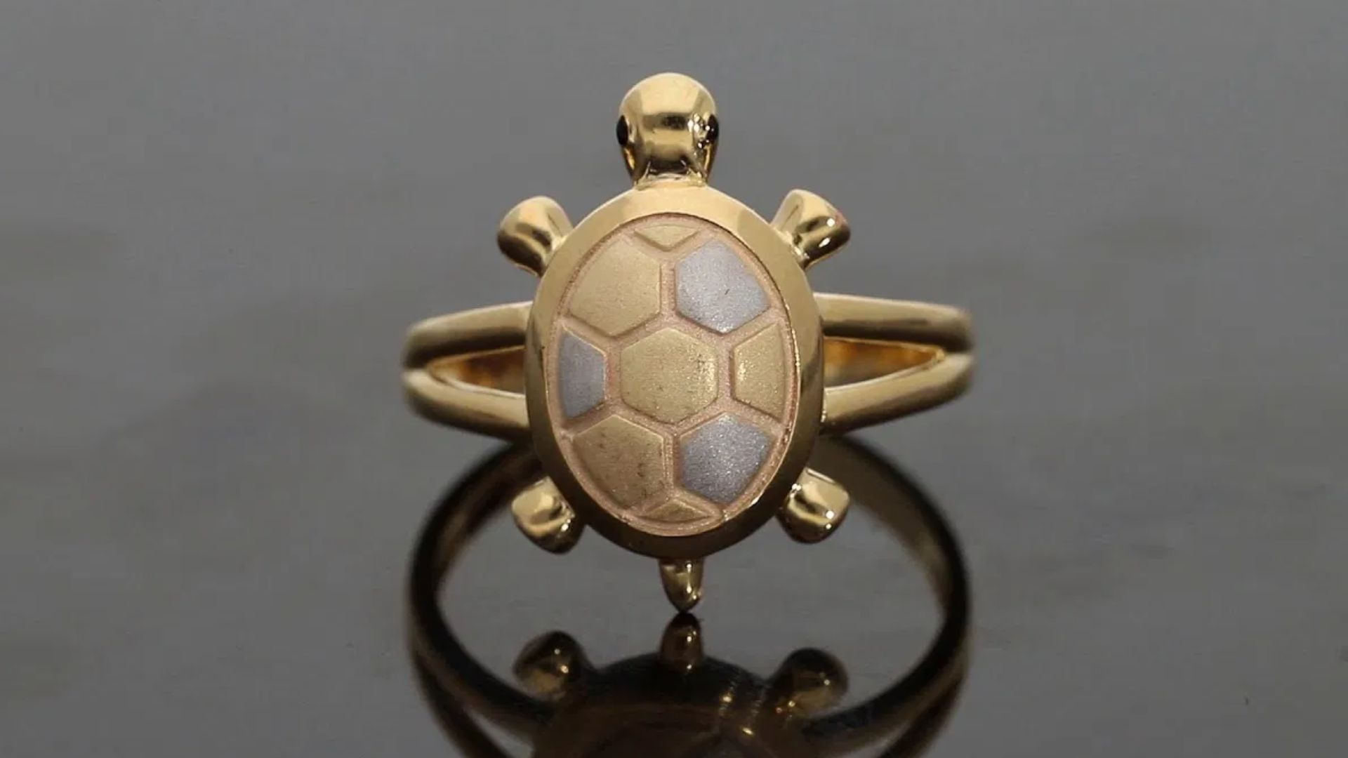 Best Way to wear tortoise ring For Health and Wealth | ಆಮೆ ಉಂಗುರವನ್ನ ಈ ...