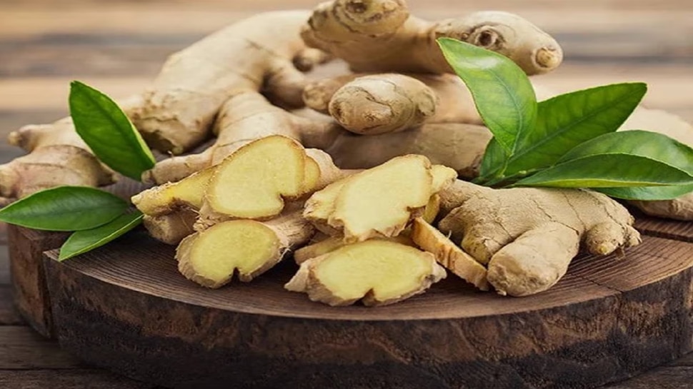 Don't eat these 5 ingredients in the kitchen in summer otherwise you ...