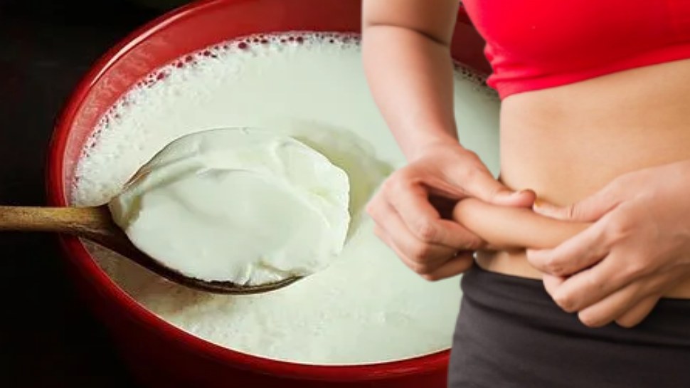 curd benefits for weight loss: eating one cup curd with flax seeds can ...