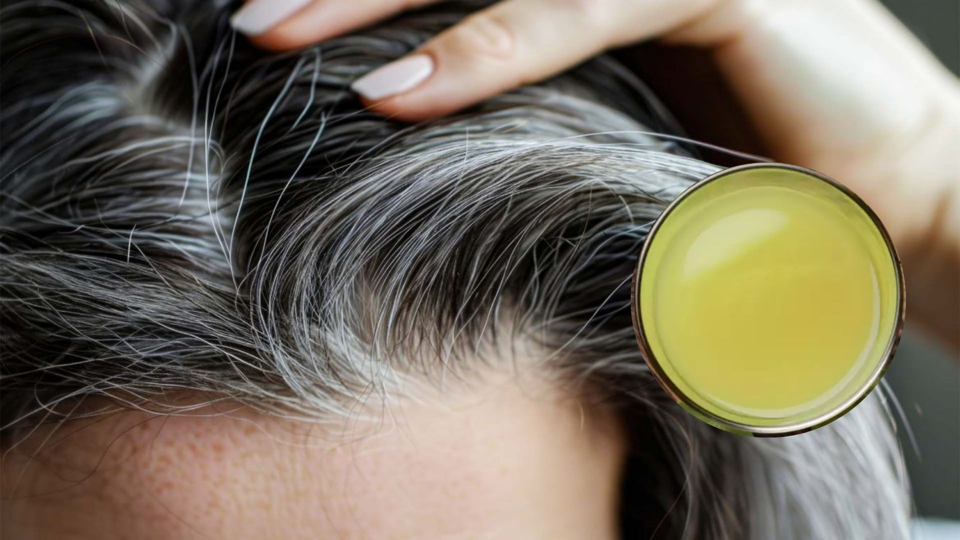 Amla or Nellikayi juice to darken gray hair | ಹೇರ್ ಡೈ ಬೇಡ... ಈ ಕಾಯಿಯ ರಸ ...
