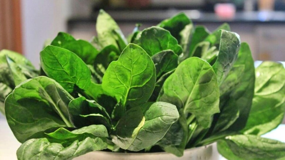 do you know Diabetics can prevent blood sugar spikes by eating spinach ...