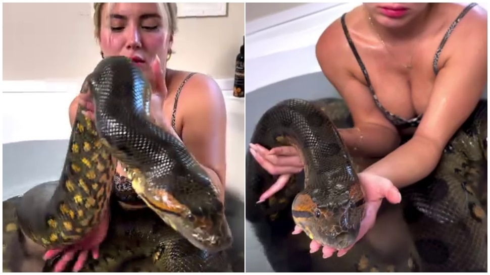 Viral video of Girl bath with Python makes netizens stun | ಬಾತ್‌ ಟಬ್‌ನಲ್ಲಿ ಹೆಬ್ಬಾವಿನ ಜೊತೆ ಸ್ನಾನ ...