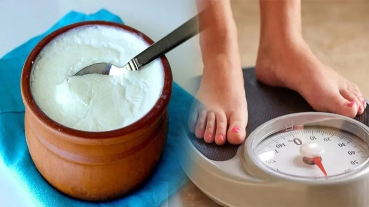 Curd for control bad cholesterol and Weight Loss | ಮೊಸರಿಗೆ ಈ ಪುಡಿ ...