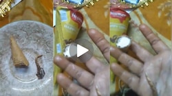 Latest Kannada News lizard tail in ice cream, lizard tail in ice cream ...