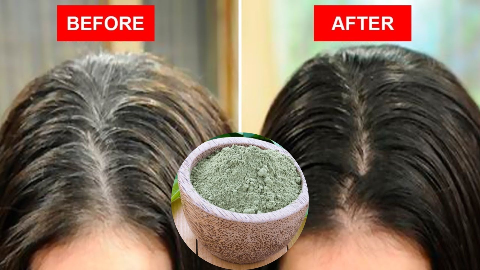 brinjal powder for white hair turn into black |ಹೇರ್‌ ಕಲರ್‌ ಬದಲು ...