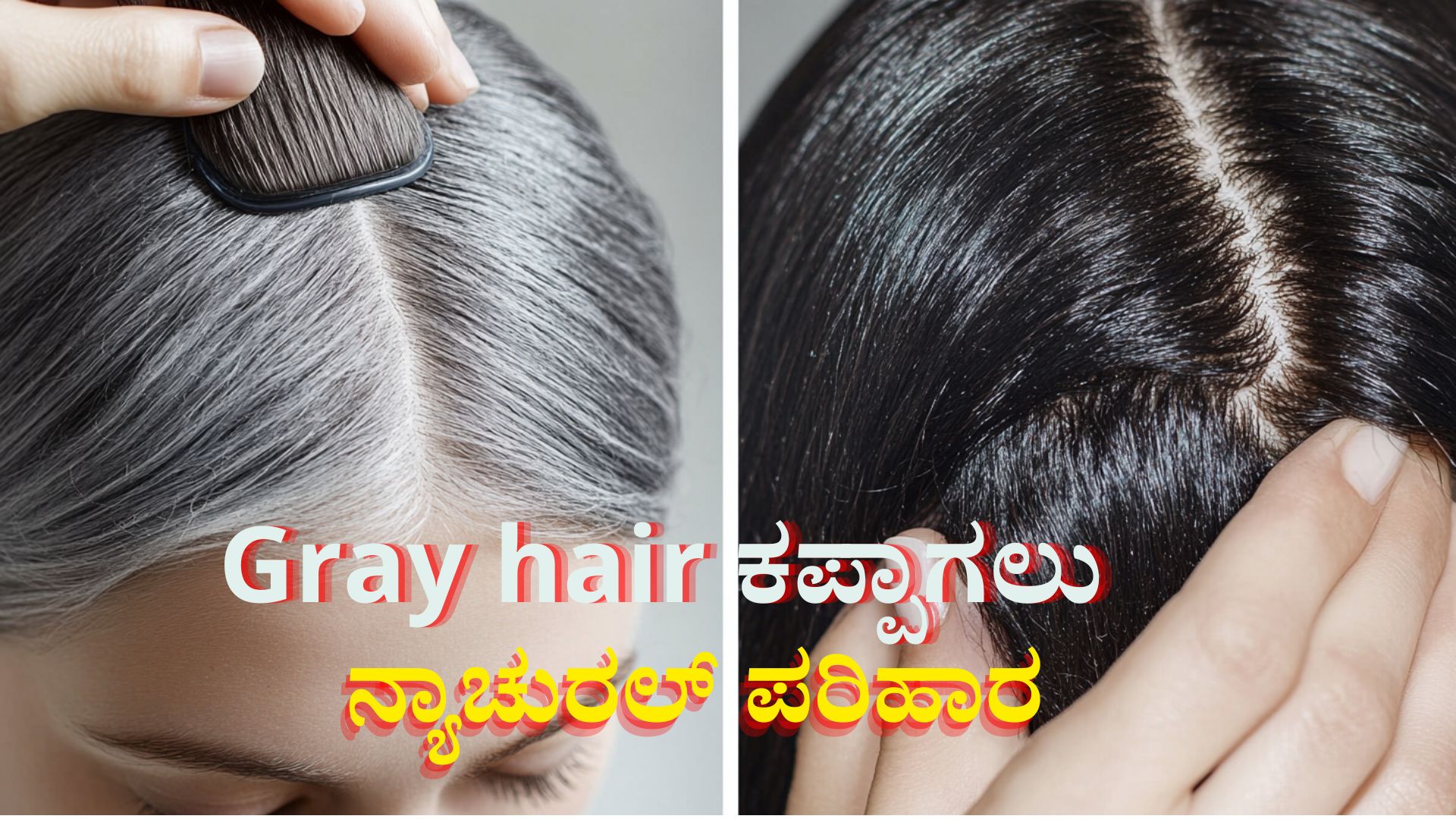 Natural Home Remedies To darken Grey Hair with Karibevu, Akki, Methi ...