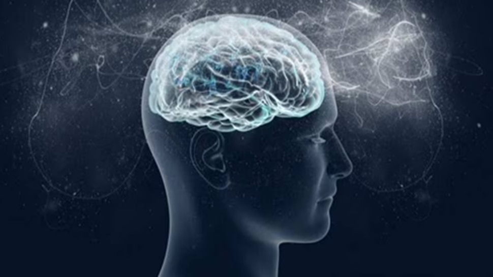 Do you know what happens to the human brain in the final moments of a ...