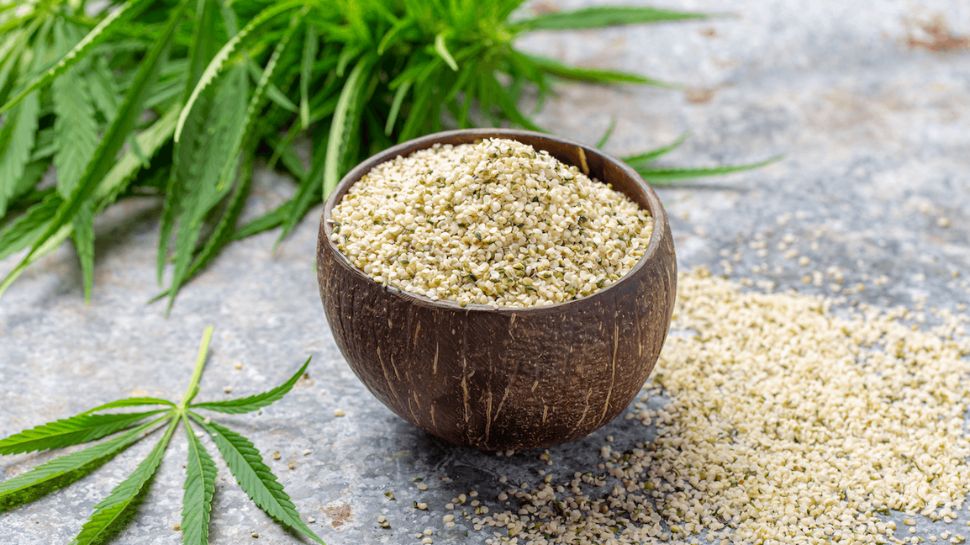 Heart Attack: Hemp Seeds Benefits for helping prevent heart attack and ...