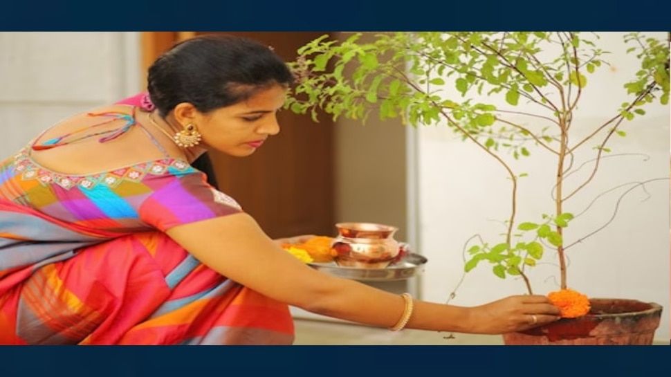 tulsi pooja tips to get lakshmi blessing | ಶ್ರಾವಣದಲ್ಲಿ ತುಳಸಿ ಇದೊಂದು ವಸ್ತು ಬೆರೆಸಿ ನೀರು ಅರ್ಪಿಸಿದರೆ ...