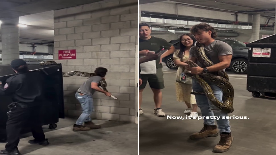 Viral Video: A man who Captures 20 Foot Python From Dumpster in Los Angeles |20 ಅಡಿ ದೈತ್ಯ ...