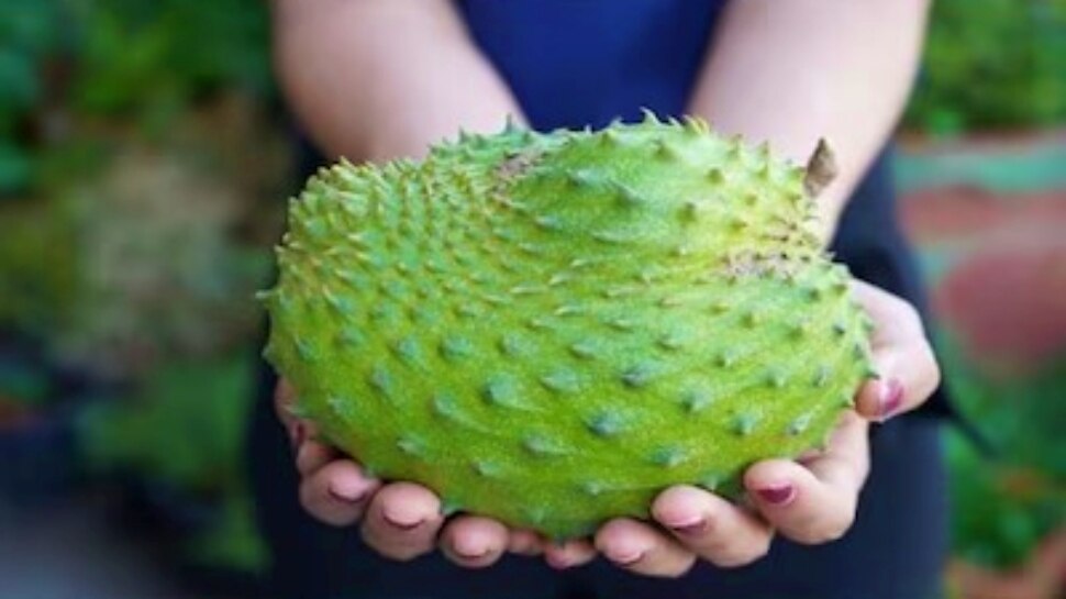 hanuman phal nutrition benefits and how to consume laxman phal | ಇದು ...