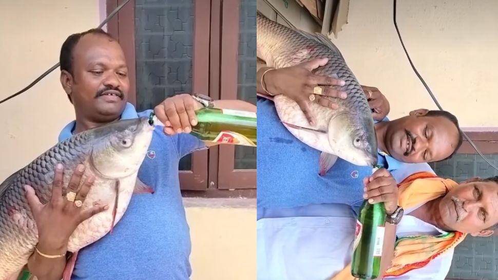 Viral video of Fish Drinking Alcohol | ಮೀನಿಗೆ ಬಲವಂತವಾಗಿ ಬಿಯರ್ ಕುಡಿಸಿದ ...