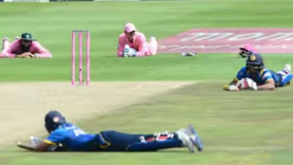 unnao umpire manik gupta dies following massive bee attack: ಕ್ರಿಕೆಟ್ ...