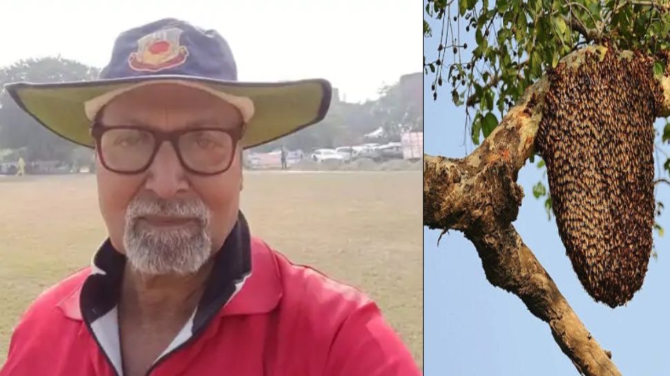 unnao umpire manik gupta dies following massive bee attack: ಕ್ರಿಕೆಟ್ ...
