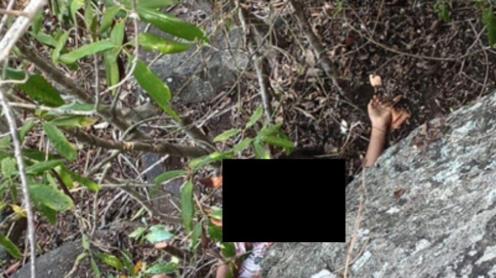Chamarajanagar Wildlife News Male Mahadeshwara Hills Leopard Attack