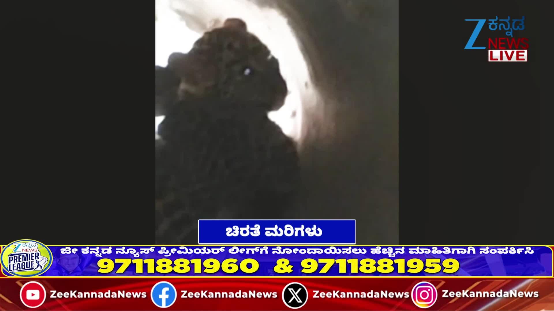 ಚಾಮರಾಜನಗರದಲ್ಲಿ ನಿಲ್ಲದ ಚಿರತೆ ಹಾವಳಿ | Karnataka News in Kannada