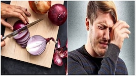 Latest Kannada News Onion Cutting, Onion Cutting News in Kannada, Onion ...