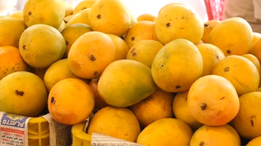 Madikeri district mango mela: ಮಾವಿನ ಮೇಳಕ್ಕೆ ಮನಸೋತ ಮಂಜಿನನಗರಿ ಜನ ...